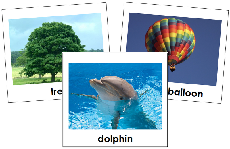Silhouette Matching Cards (Nature) - Montessori Print Shop