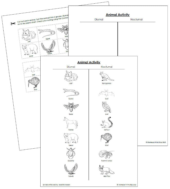 Montessori Animal Lessons - Montessori Print Shop