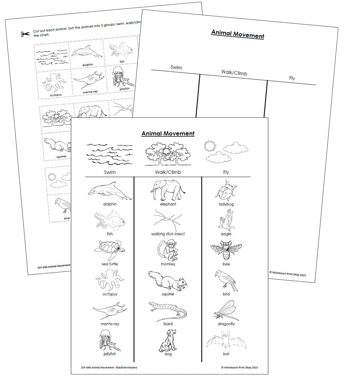 Animal Movement (Blackline Masters) - Montessori Print Shop