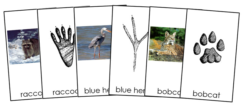 Animal Tracks - Montessori Print Shop