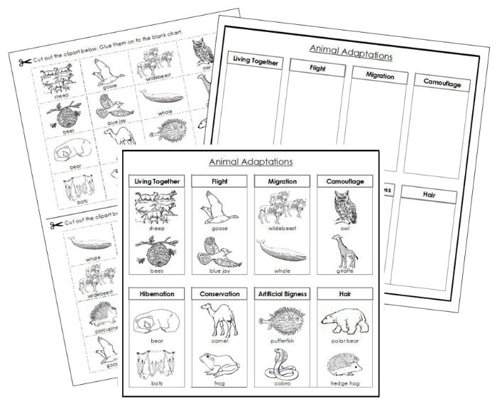 Animal Adaptation Clipart