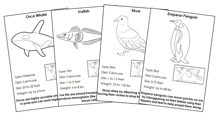 Animals of the World Information Cards Blackline Masters Bundle ...