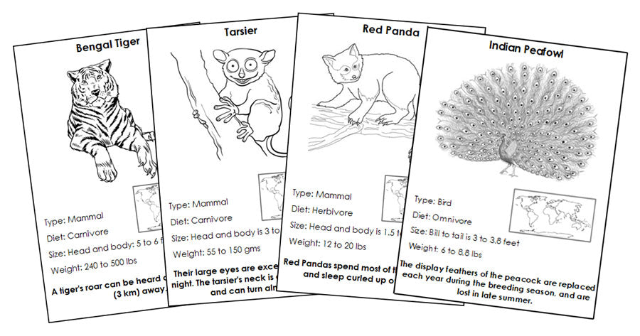 Animals of the World Information Cards Blackline Masters Bundle ...
