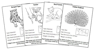 Animals of the World Information Cards Blackline Masters Bundle ...