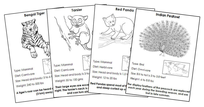 Animals of the World Information Cards Blackline Masters Bundle ...
