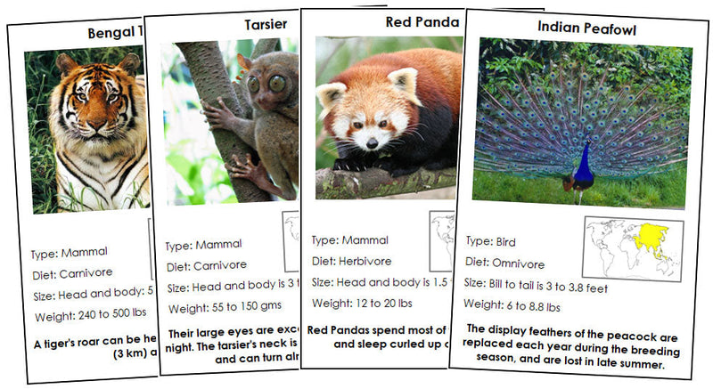 Animals of the World Information Cards Bundle (color-coded ...