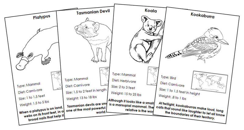 Animals of the World Information Cards Blackline Masters Bundle ...