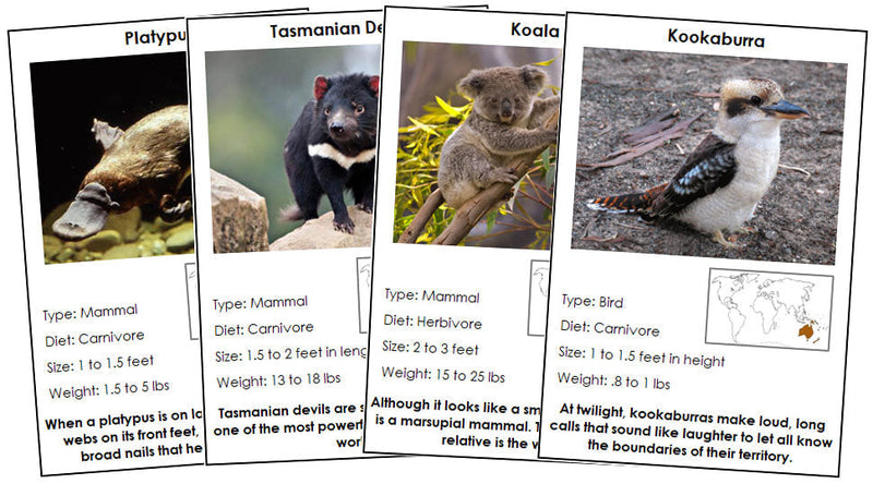 Animals of the World Information Cards Bundle (color-coded ...