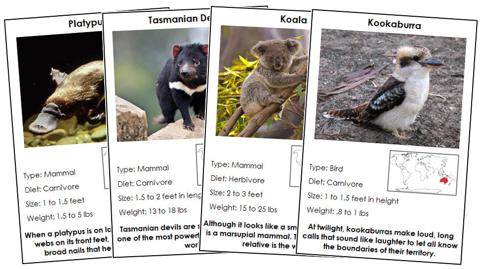Animals of the World Information Cards Bundle - Montessori Print Shop