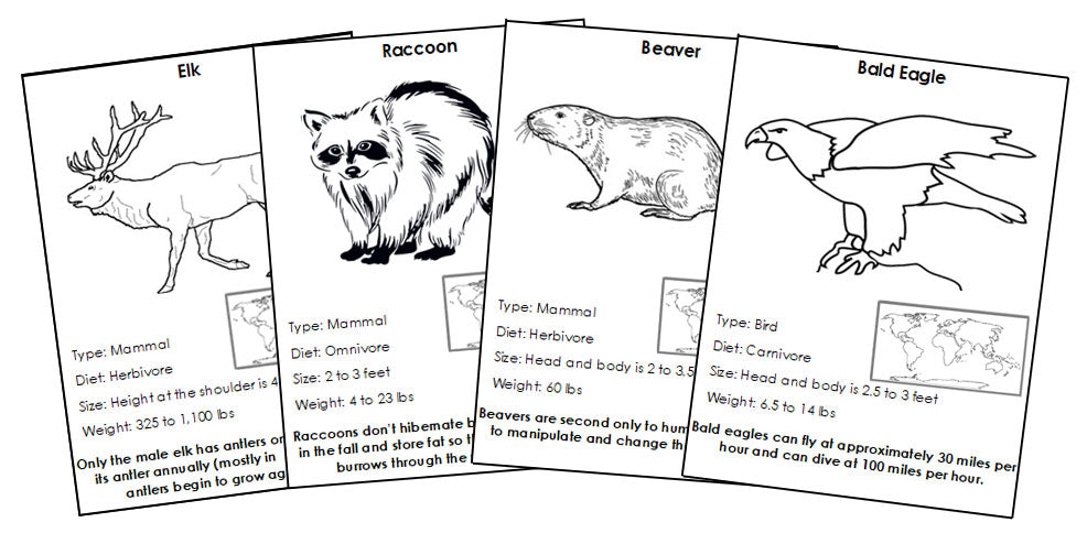 Animals of the World Information Cards Blackline Masters Bundle ...