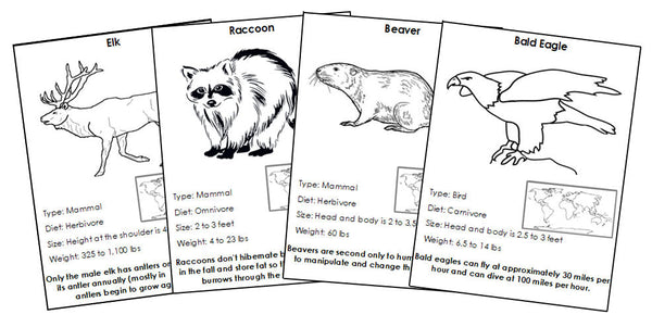 Animals of the World Information Cards Blackline Masters Bundle ...