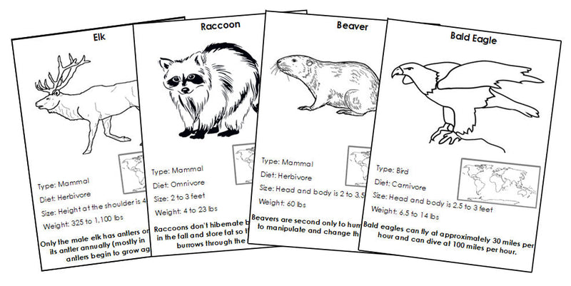 Animals of the World Information Cards Blackline Masters Bundle ...