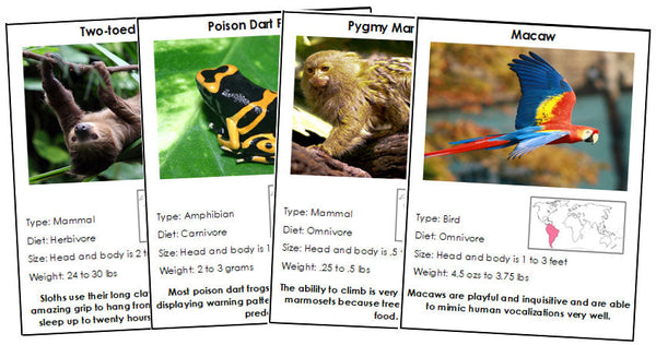 Animals of the World Information Cards Bundle (color-coded ...