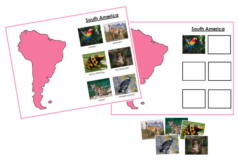 Animals of the Continents (Set 2) - Montessori Print Shop