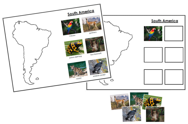 Animals of the Continents - Montessori Print Shop Digital Download
