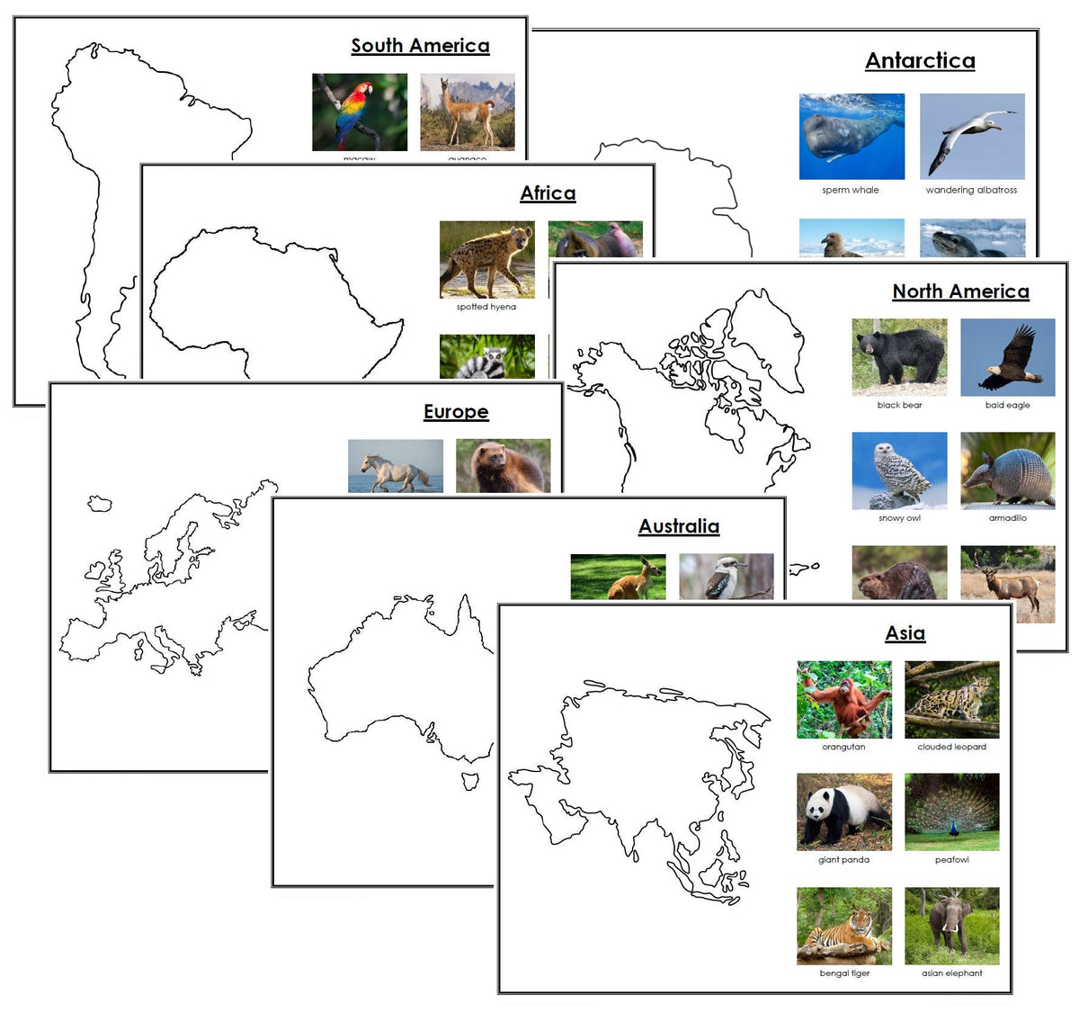 Animals of the Continents - Montessori Print Shop Digital Download