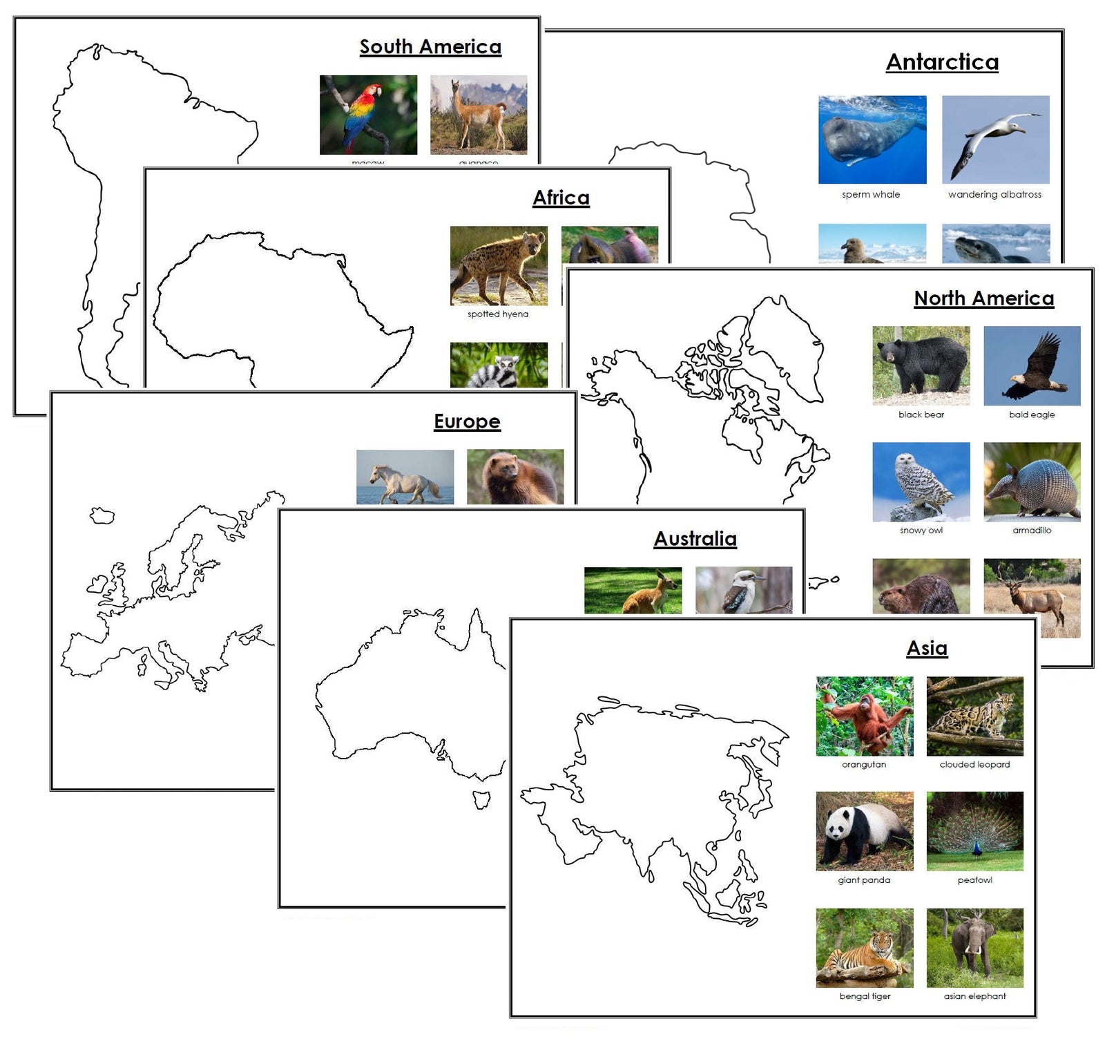 Animals of the Continents - Montessori Print Shop