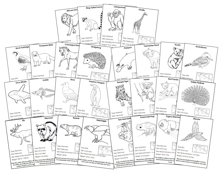 Animals of the World Information Cards Blackline Masters Bundle ...