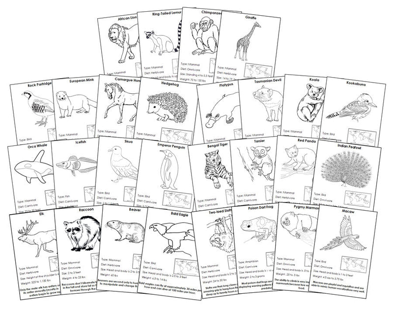 Animals of the World Information Cards Blackline Masters Bundle ...