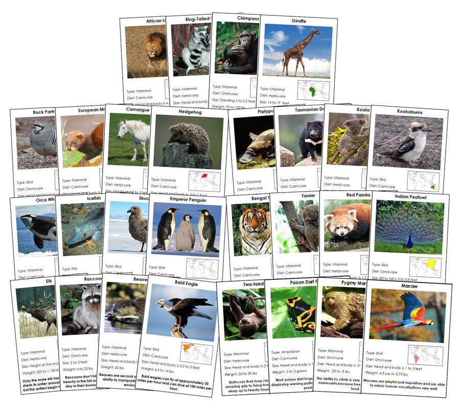 Montessori Science Lessons - Montessori Print Shop