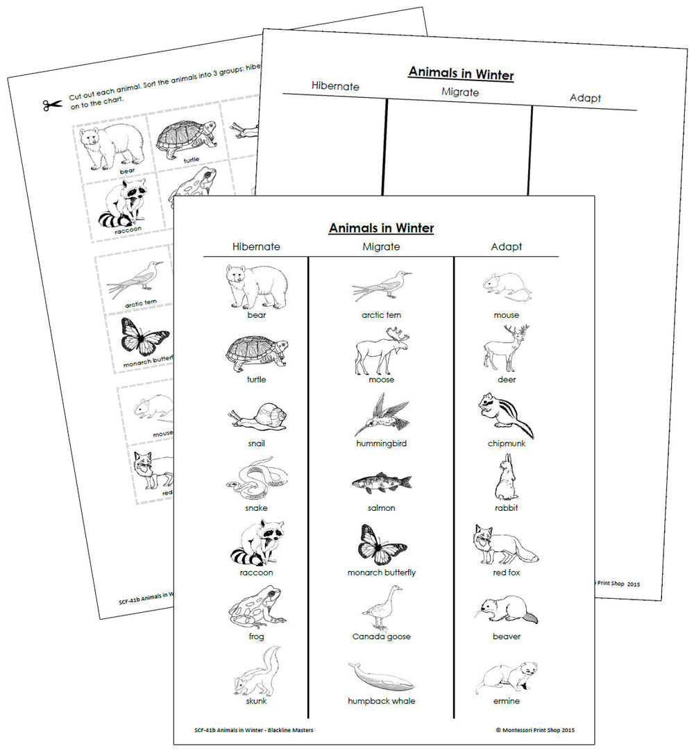 Animals in Winter (Blackline Masters) - Montessori Print Shop
