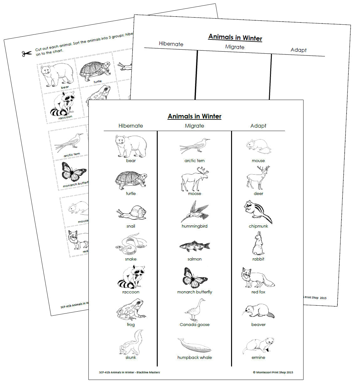Animals in Winter (Blackline Masters) - Montessori Digital Download ...