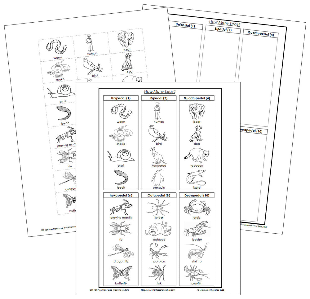 How Many Legs Sorting (Blackline Master) by Montessori Print Shop