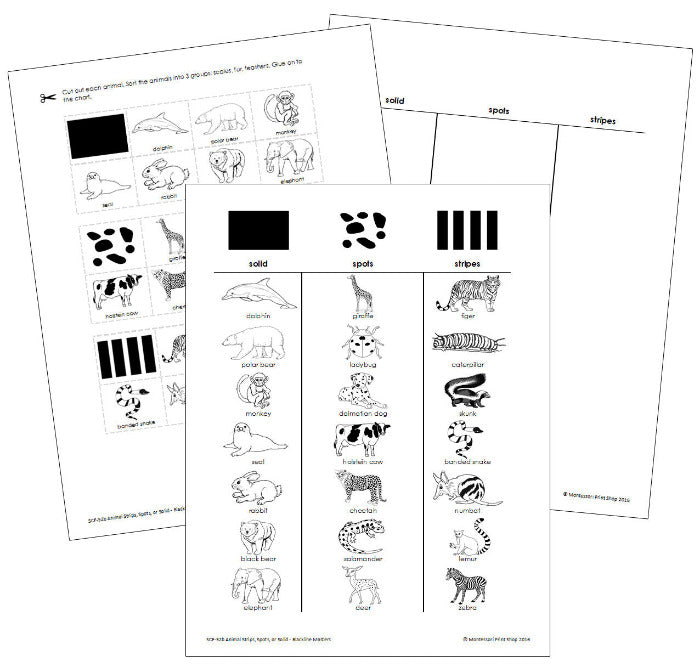 Animal Coverings (Stripes, Spots & Solid) Blackline Masters ...