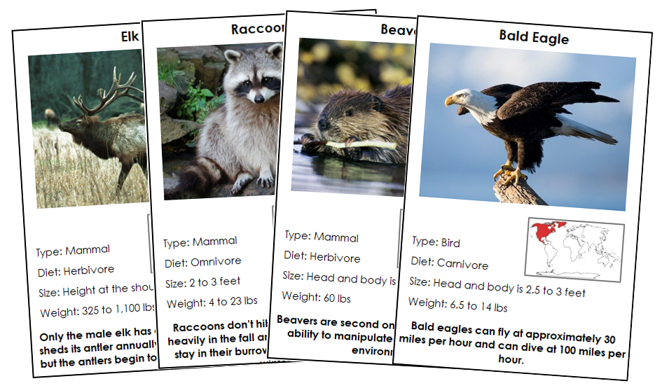Animals of North America - Montessori Digital Download - Montessori ...