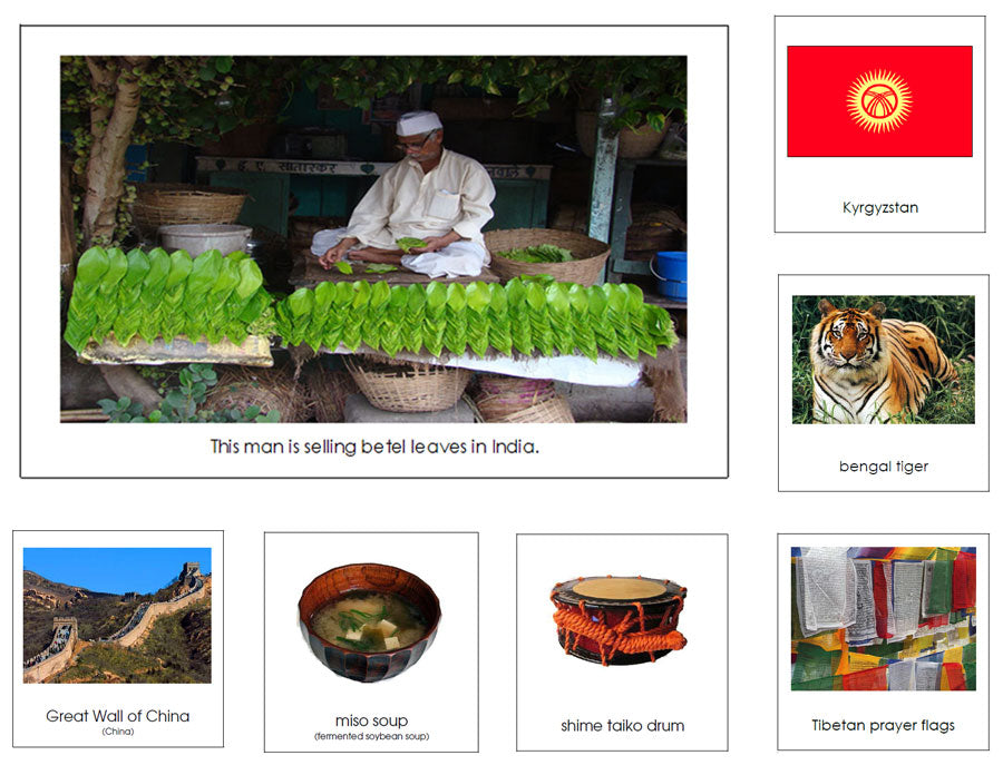 Montessori Geography Continent Cards - Montessori Print Shop