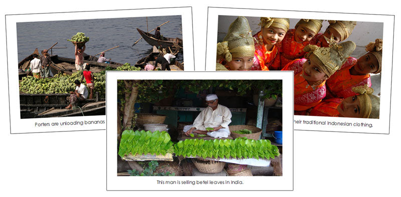 Asia Continent Cards - Montessori Print Shop