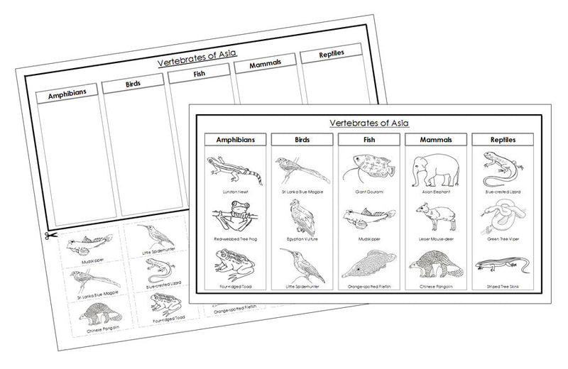 Vertebrates of the Continents Sorting Bundle - Blackline Masters ...