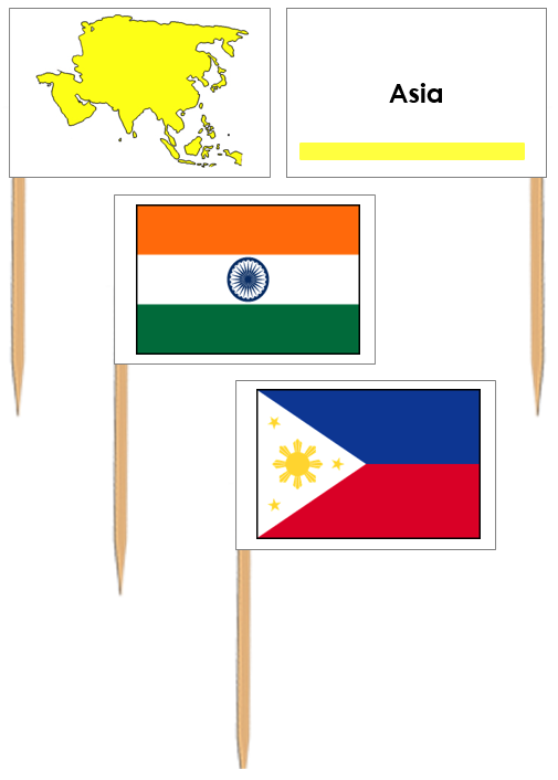 Asian Flags (Pin Flags) - Montessori Print Shop