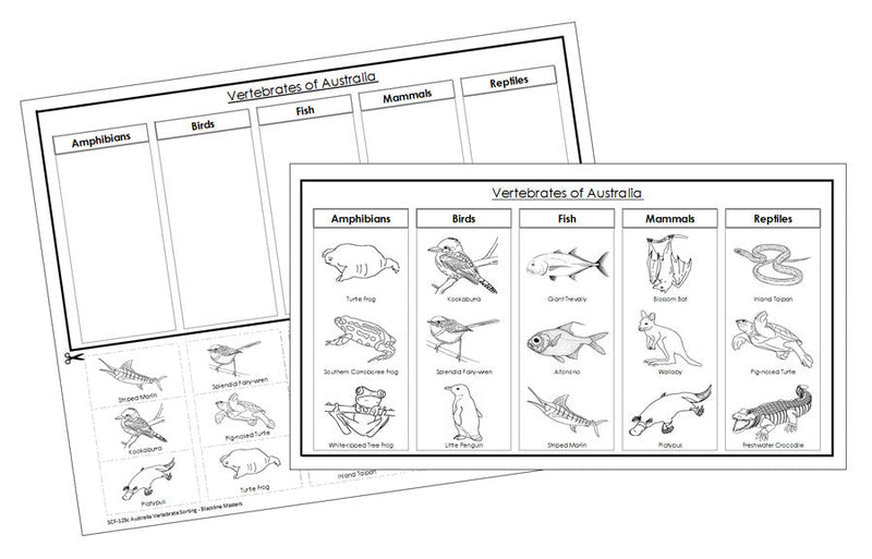 Vertebrates of the Continents Sorting Bundle - Blackline Masters ...