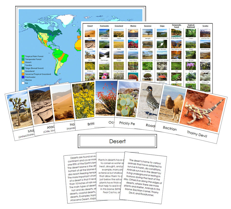 Biomes of the World - Montessori Print Shop Digital Download