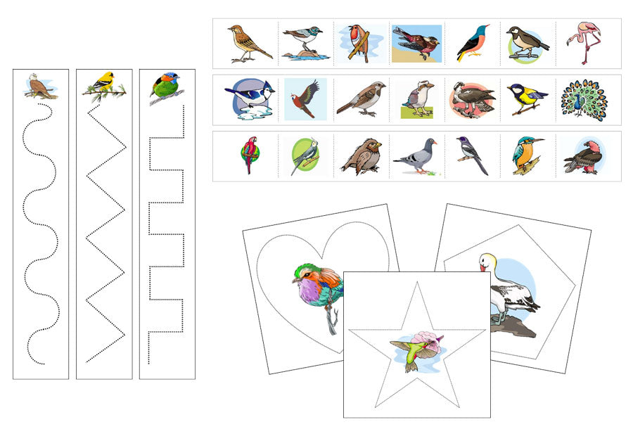 Birds Cutting Work - Montessori Print Shop Digital Download