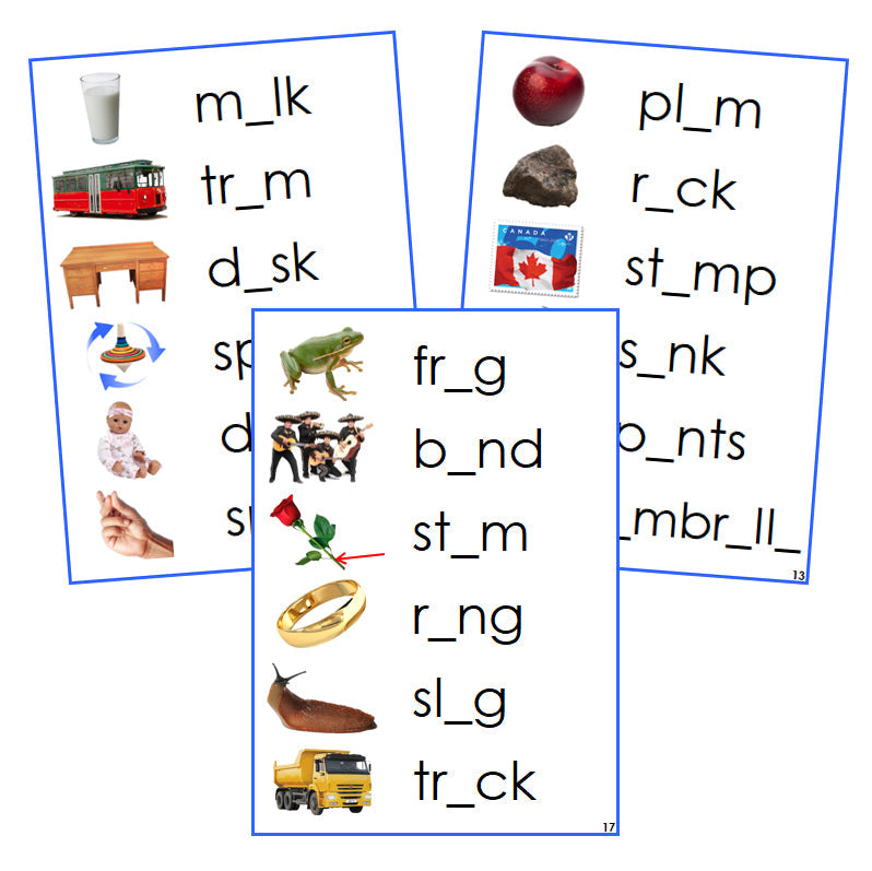 Blue Vowel Sound Cards - Montessori Print Shop