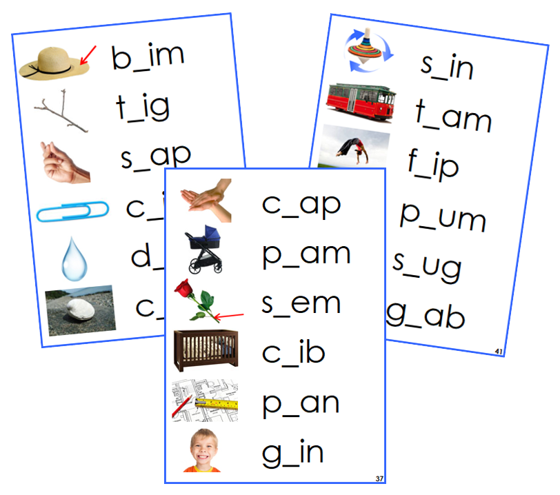 Montessori Blue Sentence Cards Set 1 (photos) - Montessori Print Shop