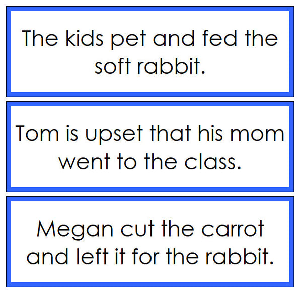 Blue Sentence Cards (Set 3) - Montessori Print Shop
