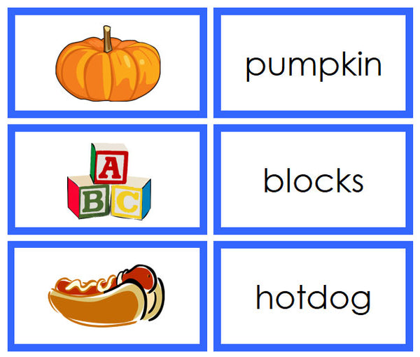 Blue Words & Picture Cards - Montessori Print Shop Digital Download
