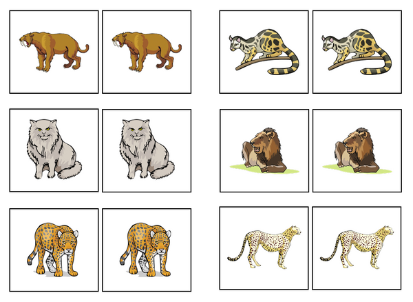 Cats Match-Up & Memory Game - Montessori Print Shop