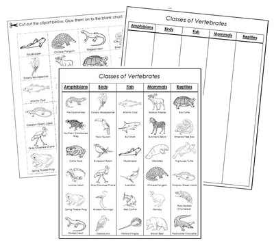 Classes of Vertebrates Sorting Blackline Masters - Montessori Print Shop