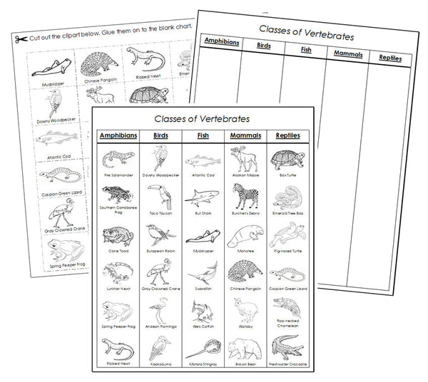 Classes of Vertebrates Sorting Blackline Masters - Montessori Print Shop