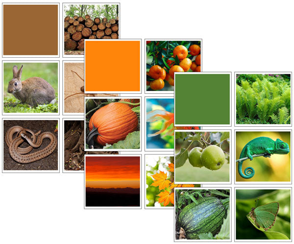 Colors In Nature Sorting Cards - Montessori Print Shop
