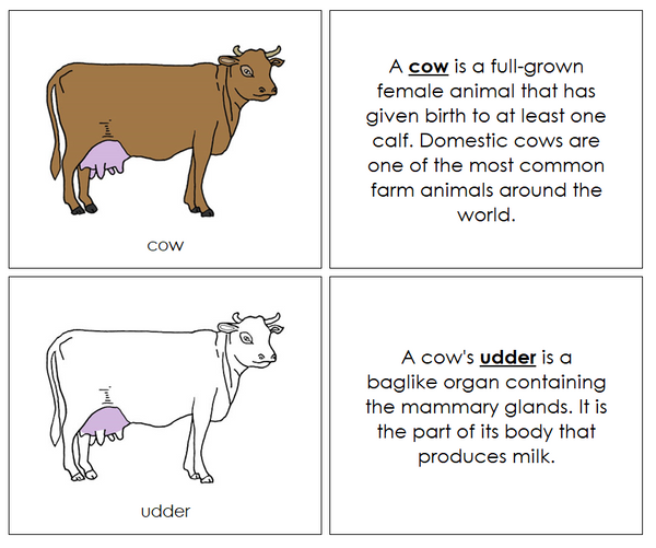 Cow Nomenclature Book - Montessori Print Shop