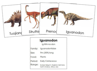 Dinosaurs (Set 2) - Montessori Print Shop Digital Download