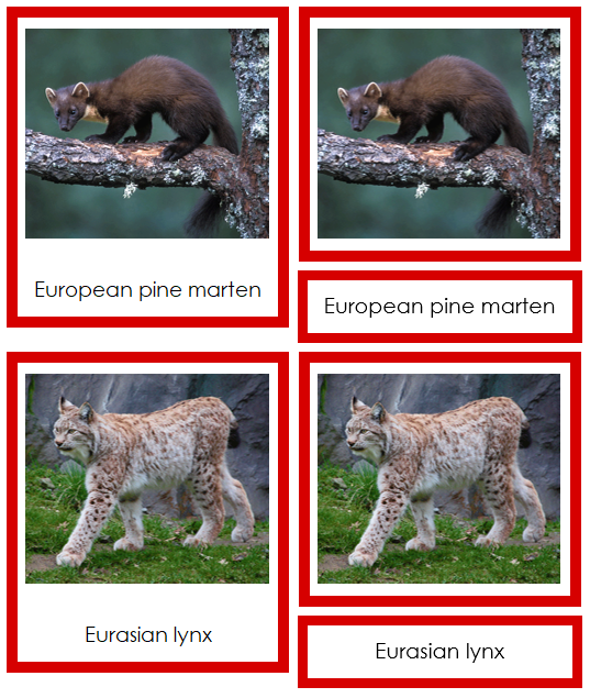 Europe Continent Bundle (color) - Montessori Print Shop Digital Download