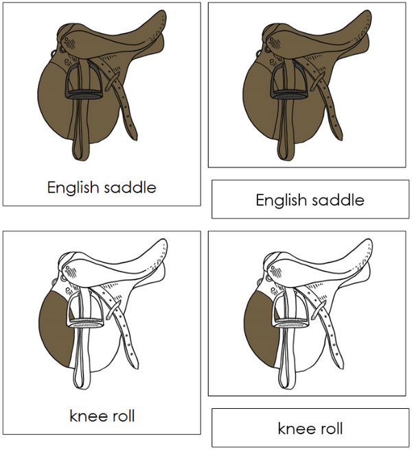 English Saddle Nomenclature Cards - Montessori Print Shop