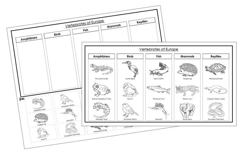 Vertebrates of the Continents Sorting Bundle (Blackline Masters ...