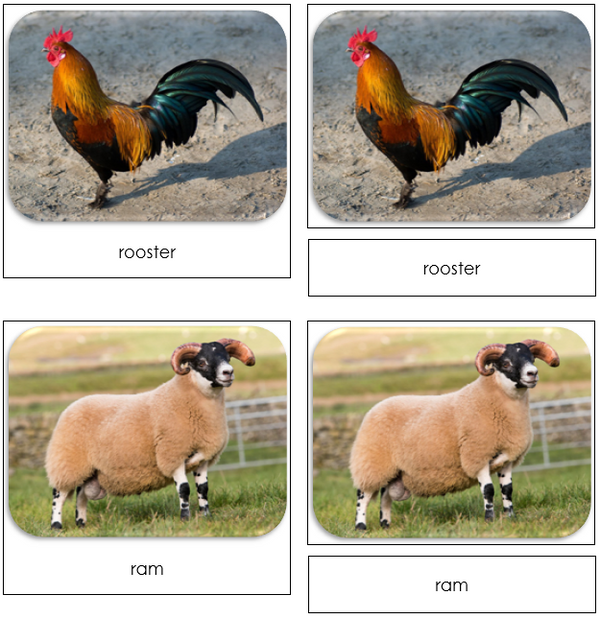 Farm Safari Toob Cards - Montessori Print Shop